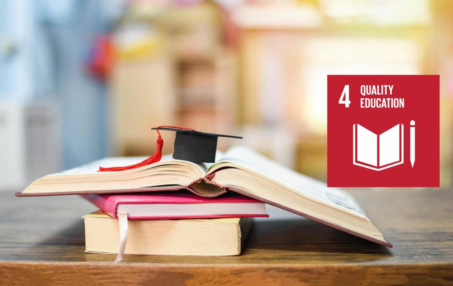 The SDG Goal 4: Quality Education