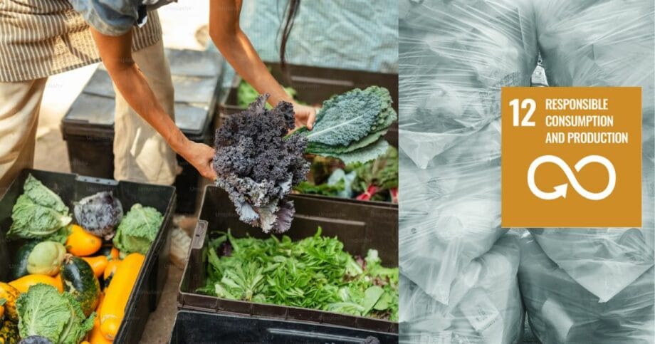 The SDG Goal 12: Responsible Consumption and Production