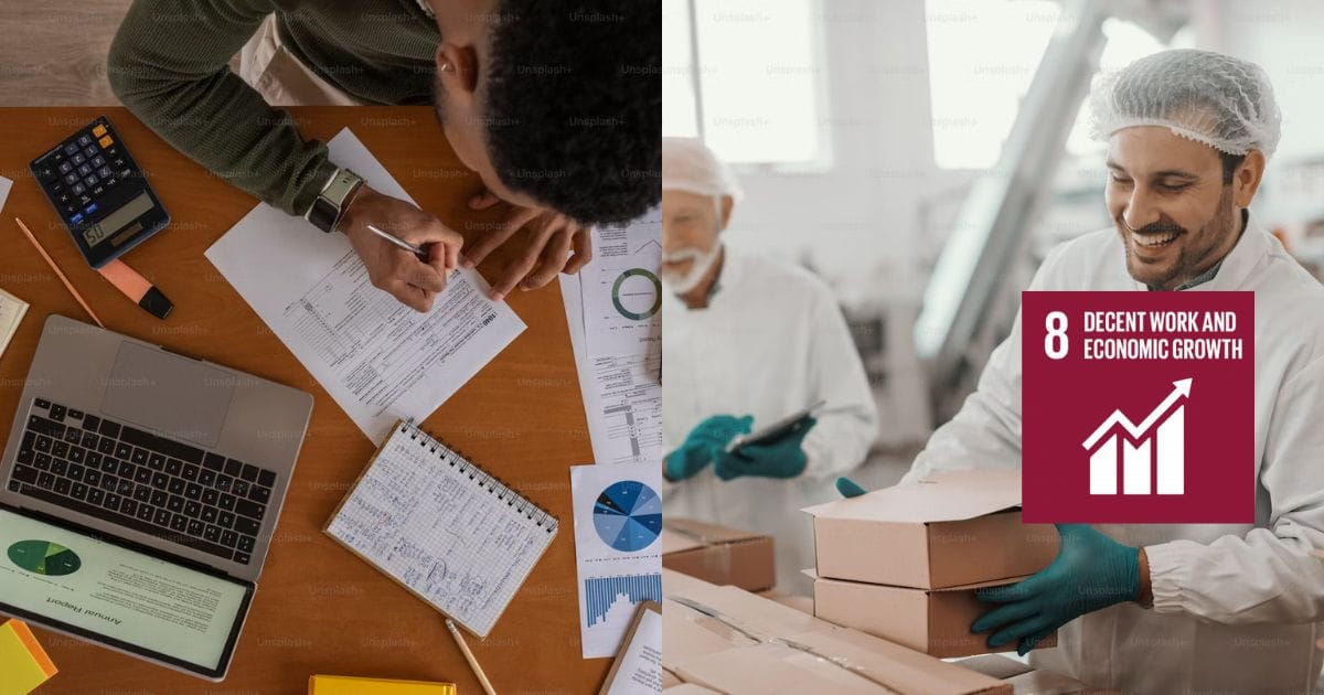 The SDG Goal 8: Decent Work and Economic Growth