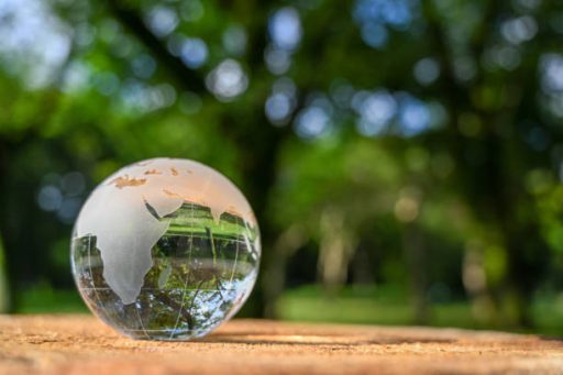 Sustainability Goals 2026: What the World Must Prioritize This Year
